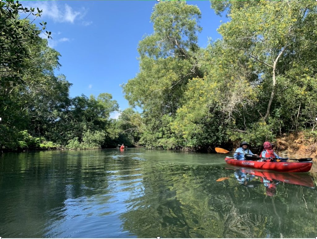 River Kayaking Archives - kayakasia